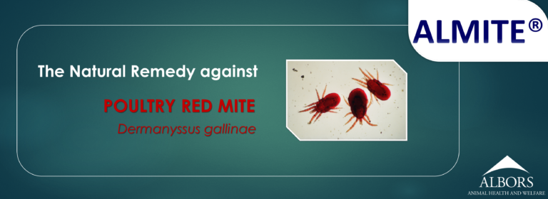 Albors | Animal Health & Welfare - ALMITE® FOR POULTRY RED MITE